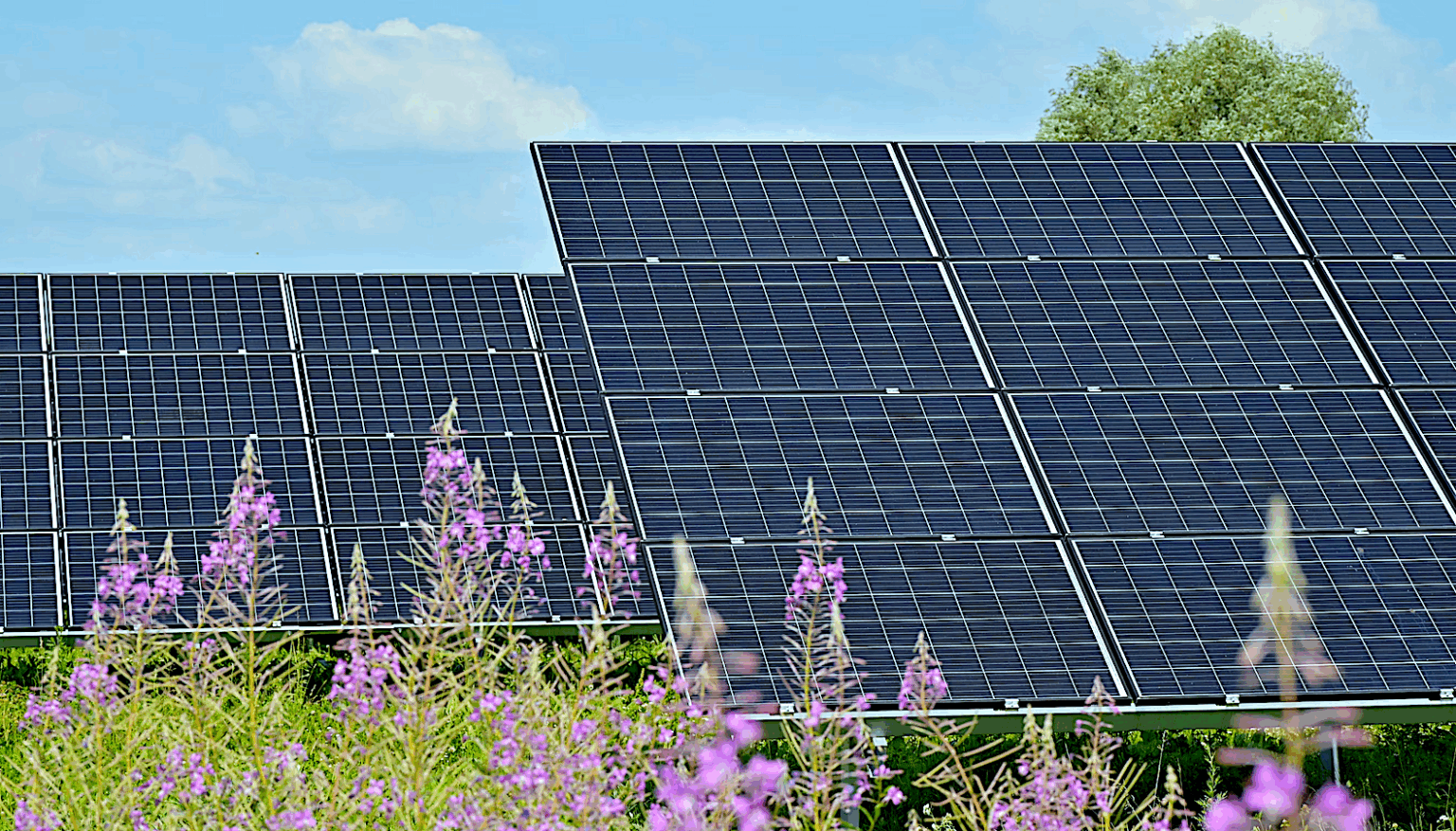 【2025年版】太陽光パネルのおすすめメーカー11選！家庭用・業務用に分けて徹底比較 – SolarTechLife